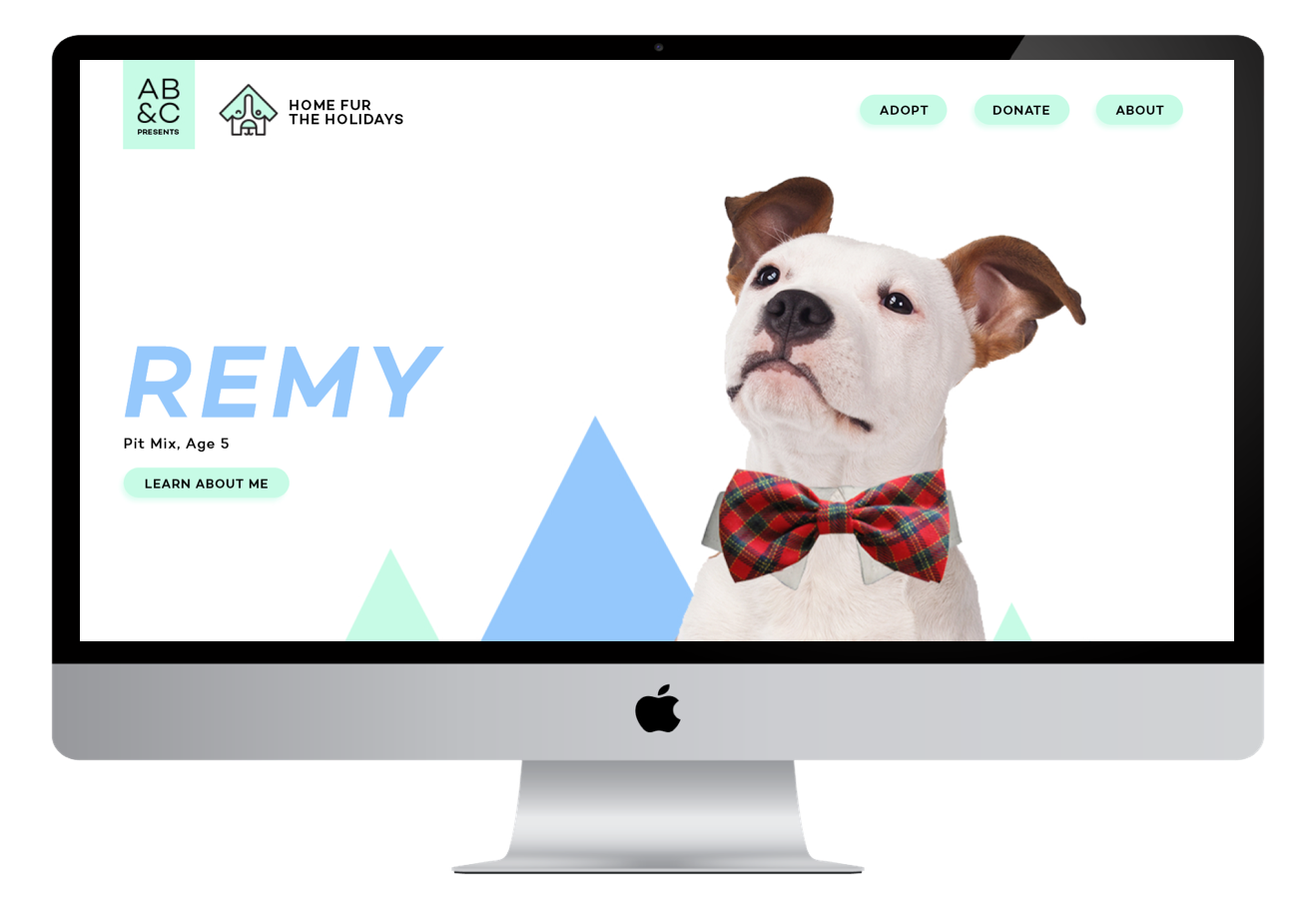 AB&C Wins 10 ADDY Awards | The Feed | Aloysius Butler & Clark